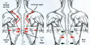 BOWEN TECHNIQUE | The Bowen Institute